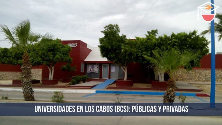 8 Mejores universidades en Los Cabos públicas y privadas